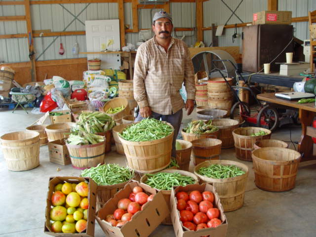 Grainger County Farmers Page | Grainger County