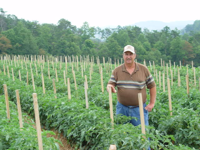 Grainger County Farmers Page | Grainger County